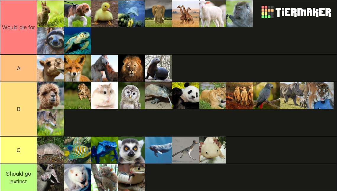 Animals Tier List (Community Rankings) - TierMaker