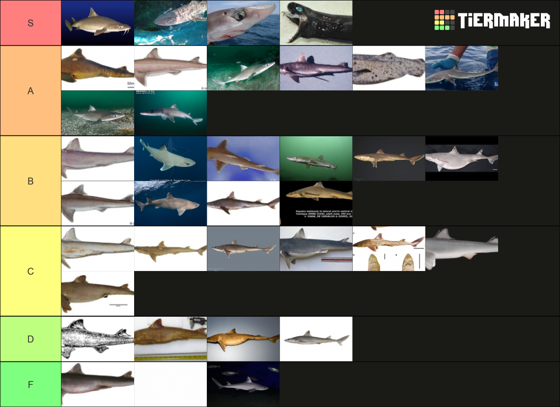 Dogfish Tier List (Community Rankings) - TierMaker