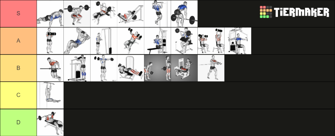 Gym exercises Tier List (Community Rankings) - TierMaker