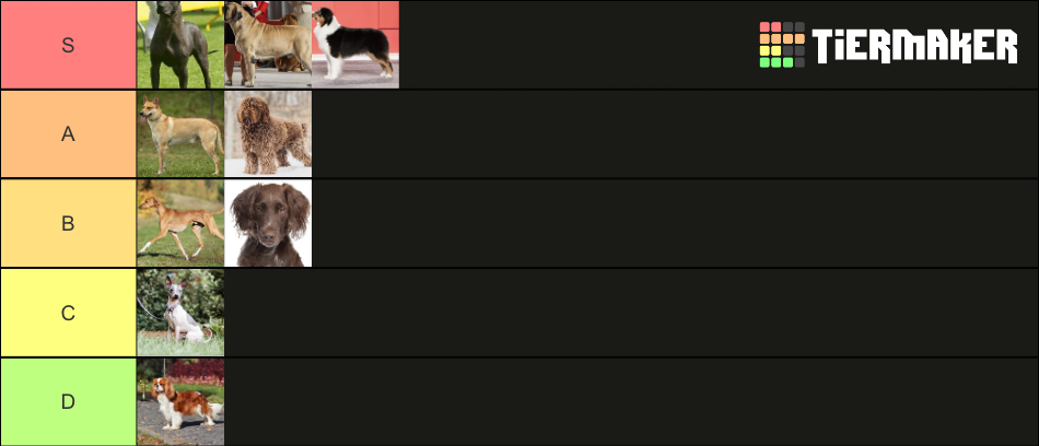 Dog Breeds Tier List (Community Rankings) - TierMaker