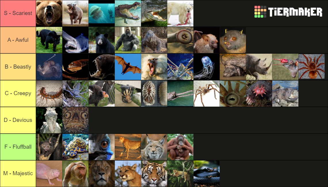 Scariest animals Tier List (Community Rankings) - TierMaker