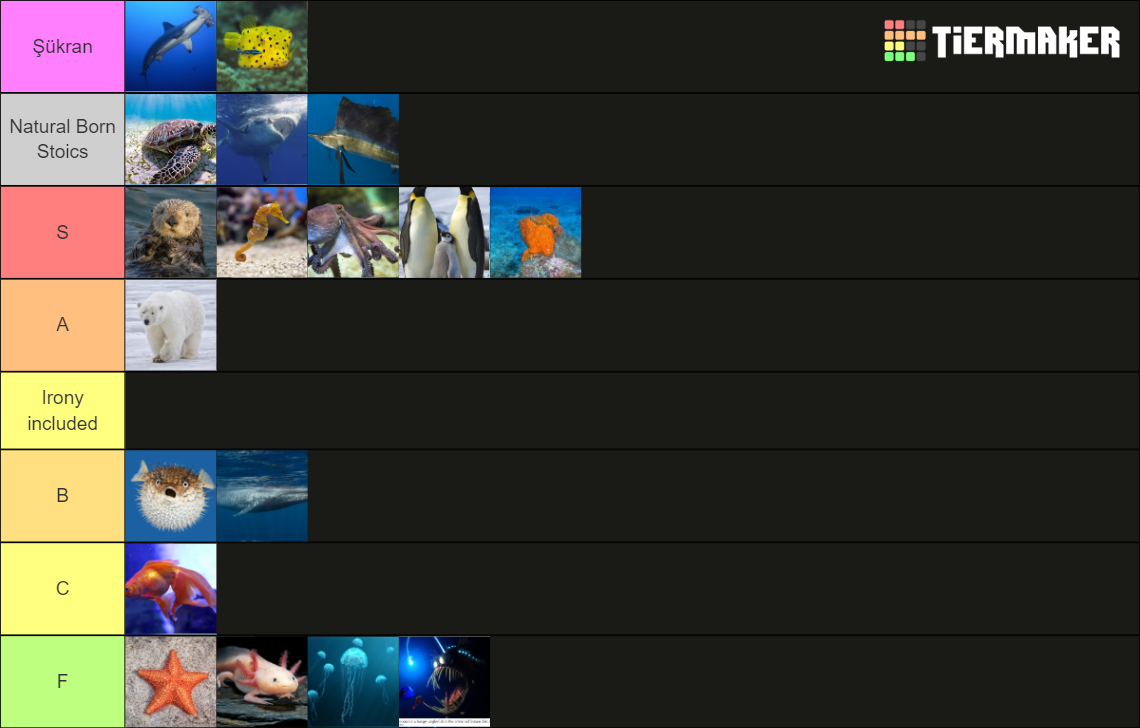 Pog Sea Creatures Tier List (Community Rankings) - TierMaker