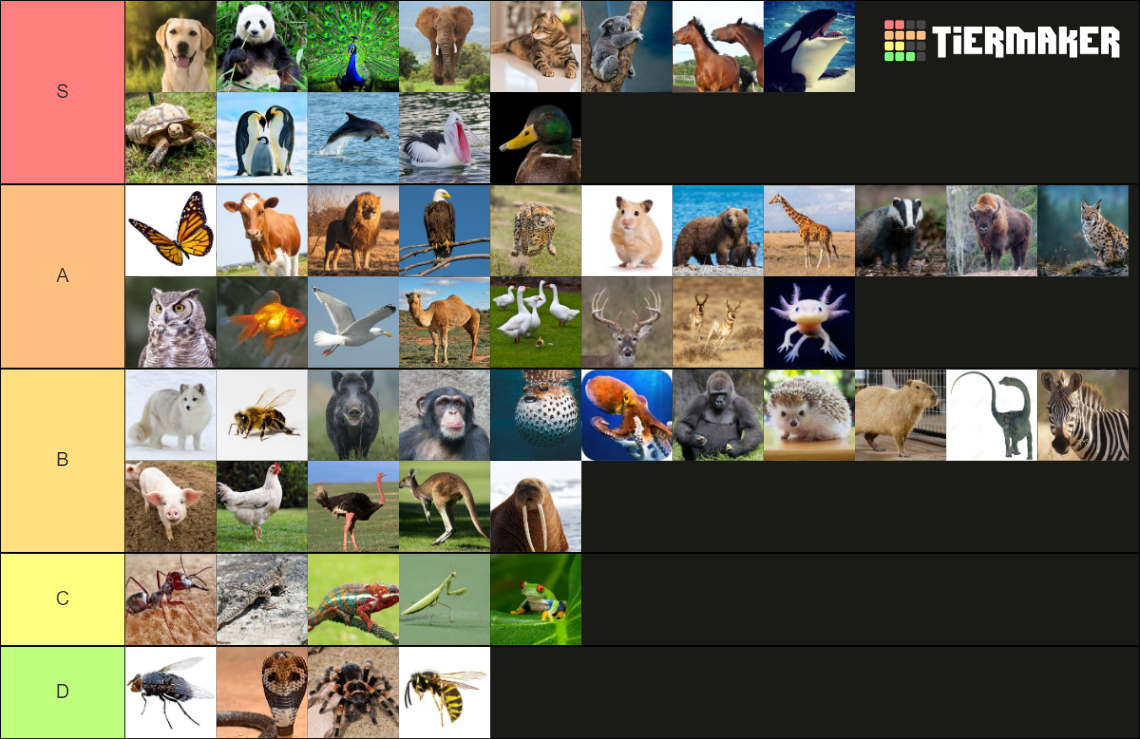 Ultimate animal tier Tier List (Community Rankings) - TierMaker