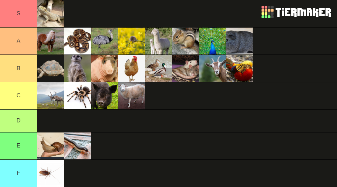 Mayfield Alpaca Farm Animal Tier List (Community Rankings) - TierMaker