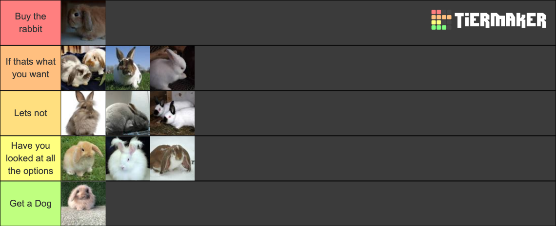Bunny Breeds Tier List (Community Rankings) - TierMaker