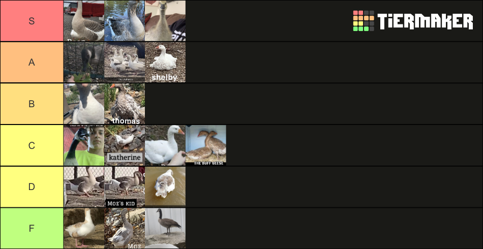 every goose ive owned Tier List (Community Rankings) - TierMaker