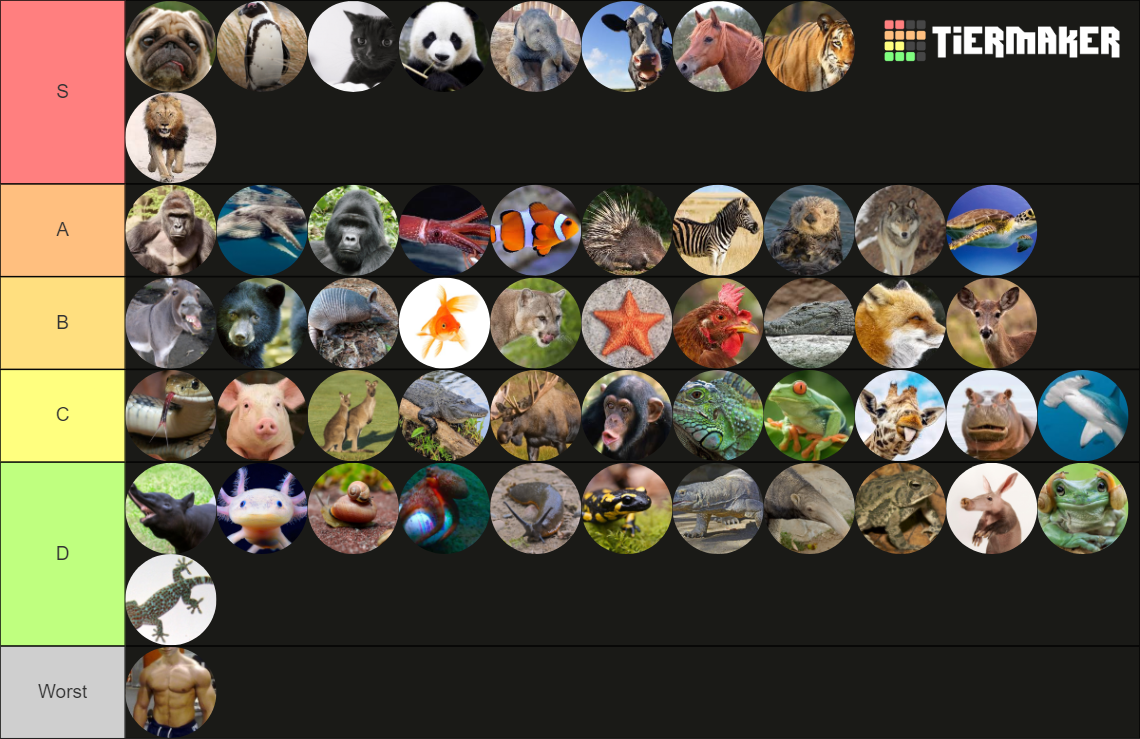 Animals Tier List (Community Rankings) - TierMaker
