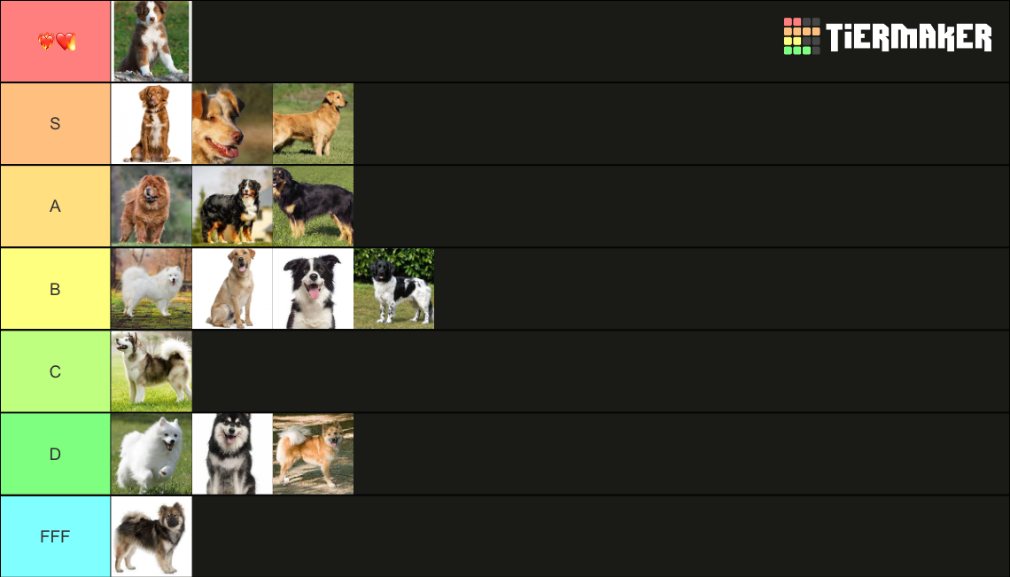 Cool dogs Tier List (Community Rankings) - TierMaker