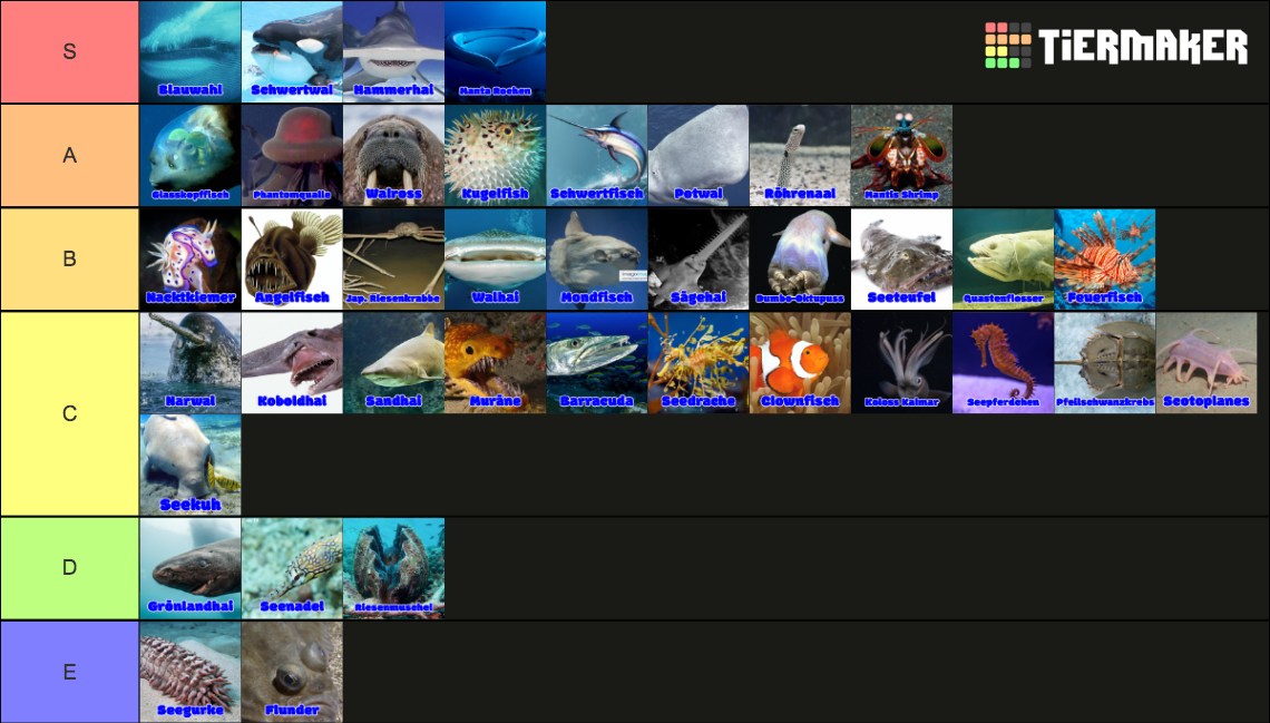 Animals in the Ocean Tier List (Community Rankings) - TierMaker