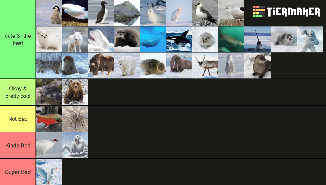 arctic animals and others Tier List (Community Rankings) - TierMaker