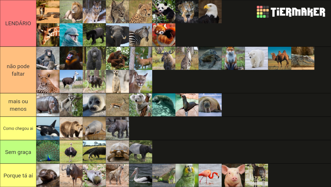 Zoo Animals Tier List (Community Rankings) - TierMaker