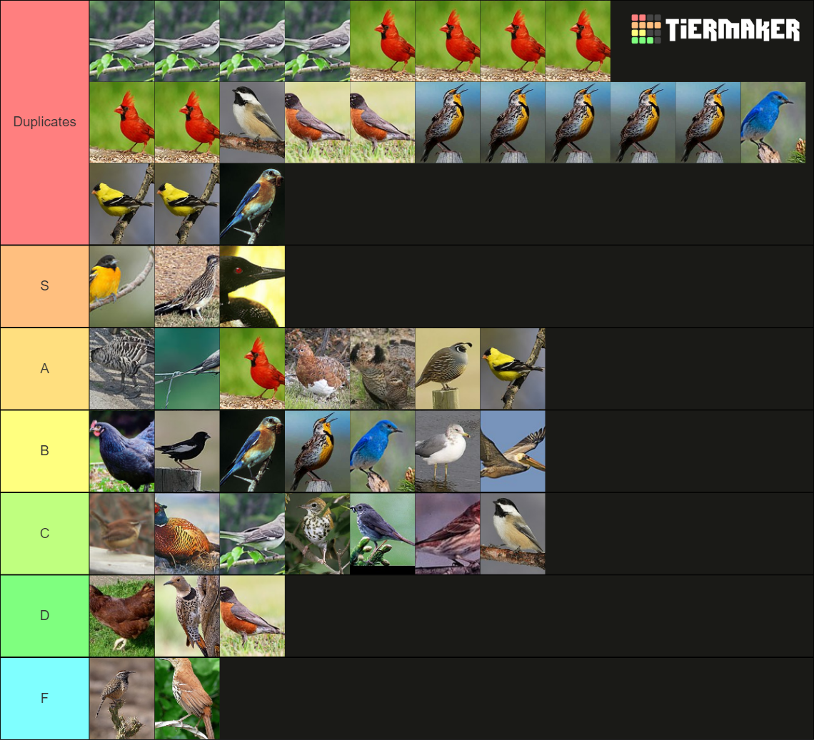 State Birds Tier List (Community Rankings) - TierMaker