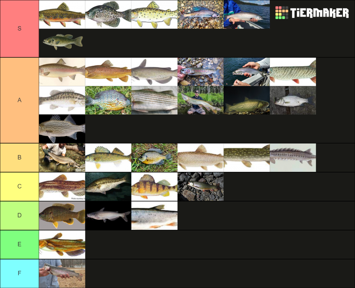Freshwater Gamefish Tierlist (Western US) Tier List (Community Rankings ...