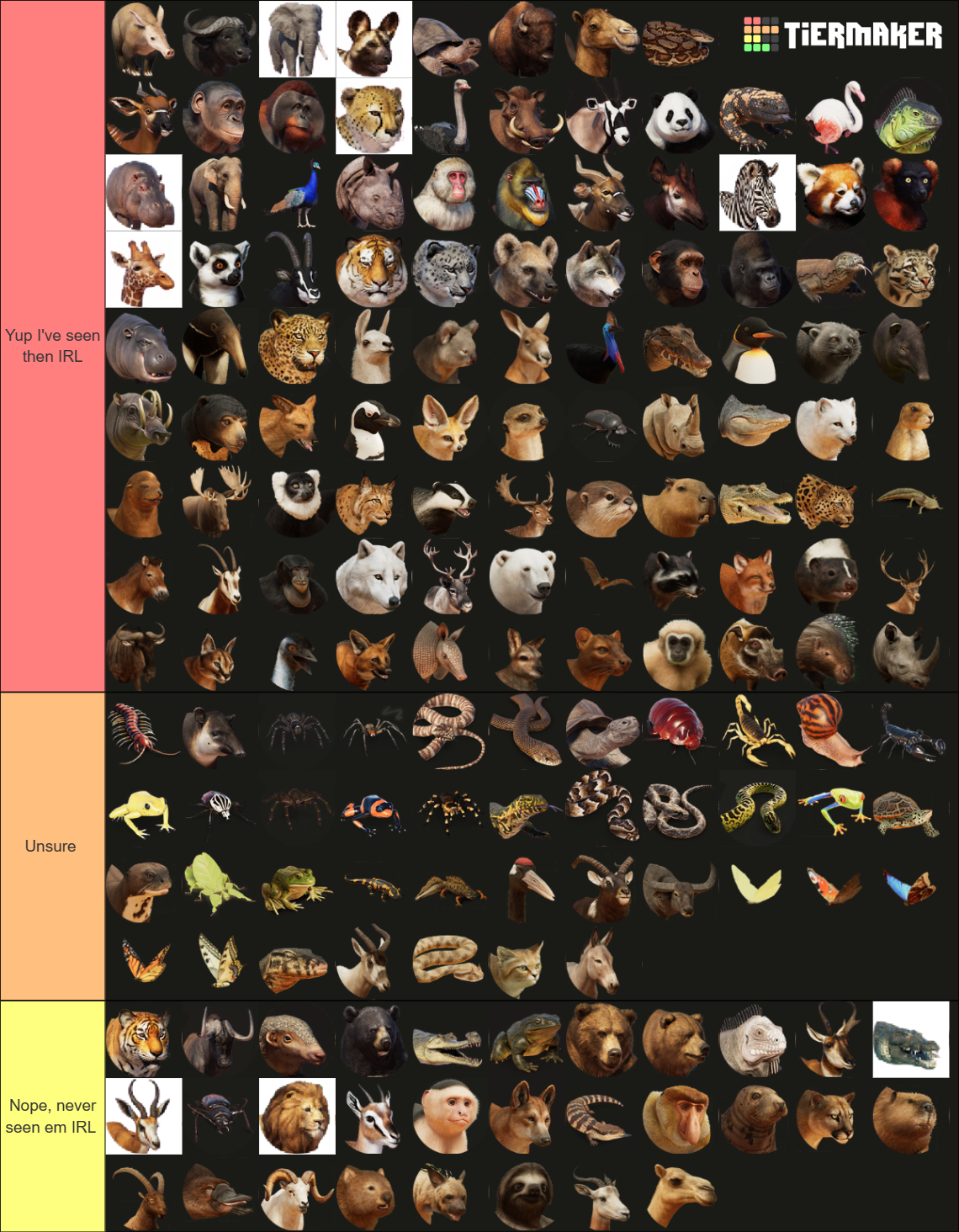 Planet Zoo Tier List (Community Rankings) - TierMaker