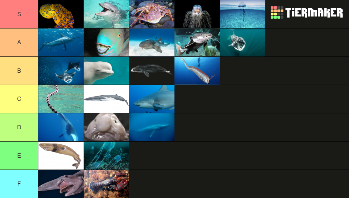 Sea Creatures Tier List (Community Rankings) - TierMaker