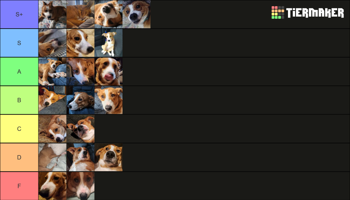 Doogle Official Tierlist Tier List (Community Rankings) - TierMaker