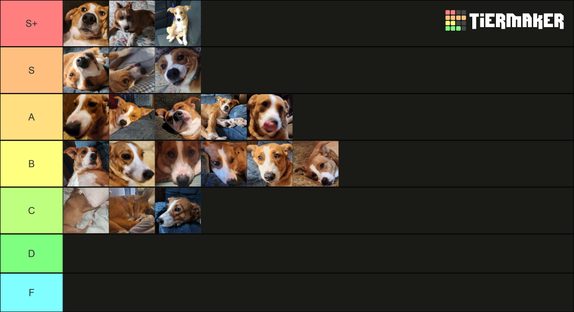Doogle Official Tierlist Tier List (Community Rankings) - TierMaker