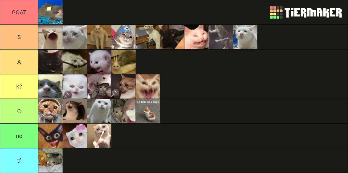 CAT MEMES Tier List (Community Rankings) - TierMaker