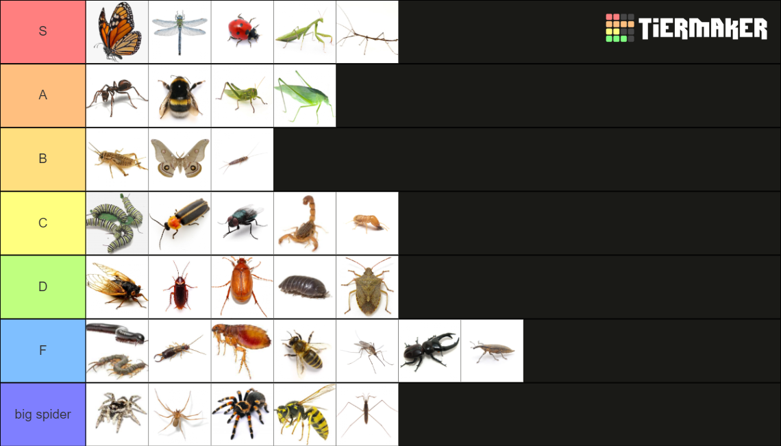 Official Bug Tier List (Community Rankings) - TierMaker