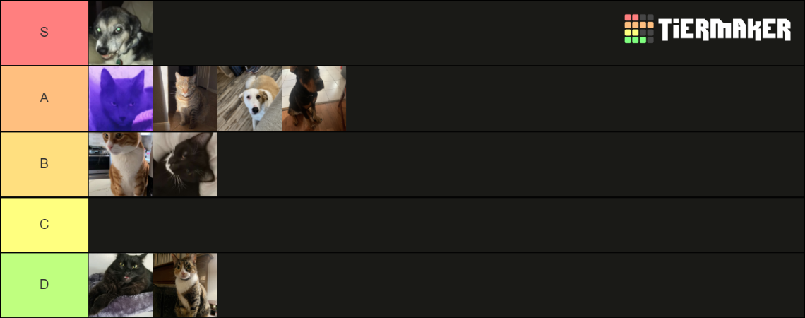 Pet Tier List (Community Rankings) - TierMaker