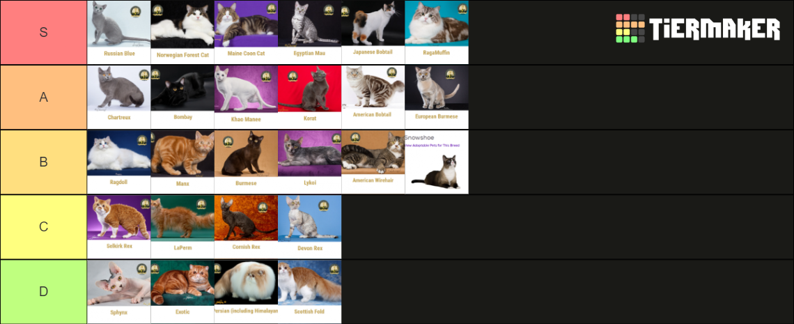 Cat Breeds labeled images 2nd round Tier List (Community Rankings ...