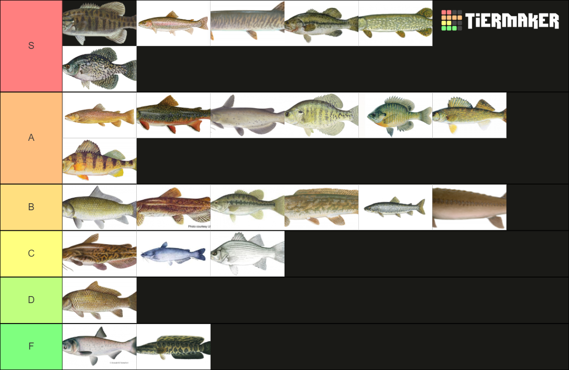 Freshwater Game Fish Tier List (Community Rankings) - TierMaker