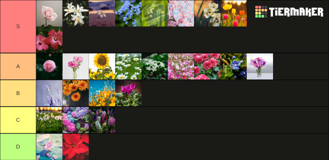 (Popular) Flowers Tier List (Community Rankings) - TierMaker