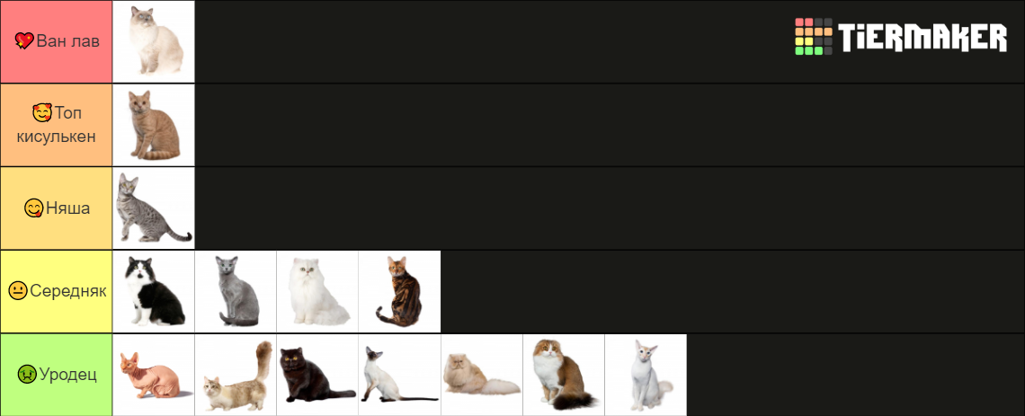 Cats Tier List (Community Rankings) - TierMaker