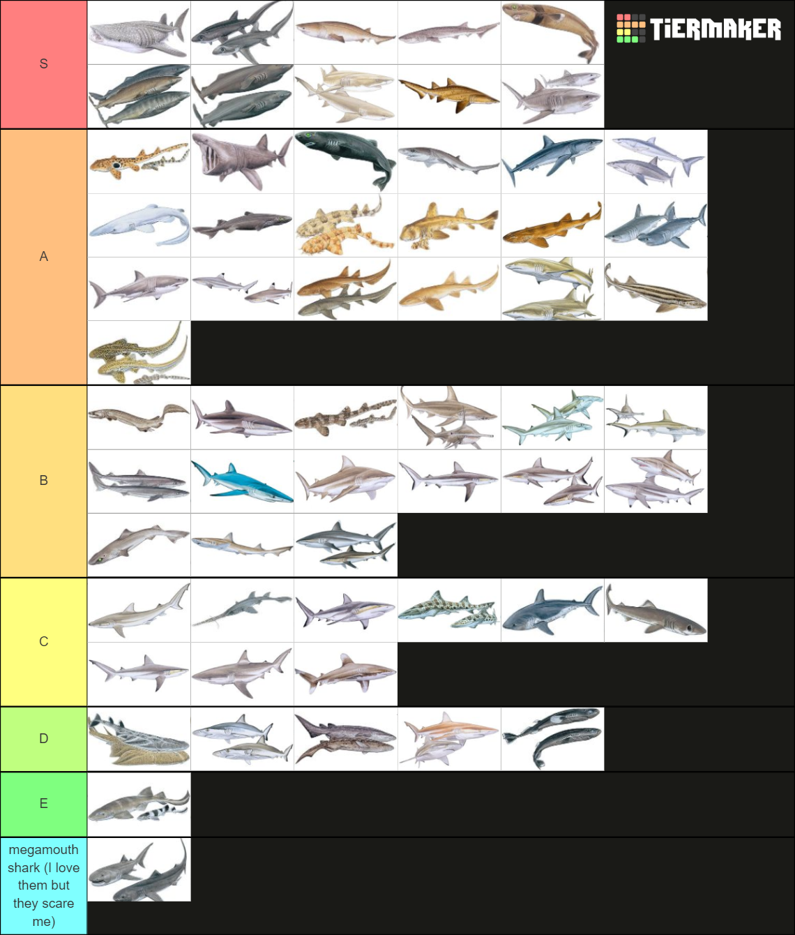 All 60 shark species Tier List (Community Rankings) - TierMaker