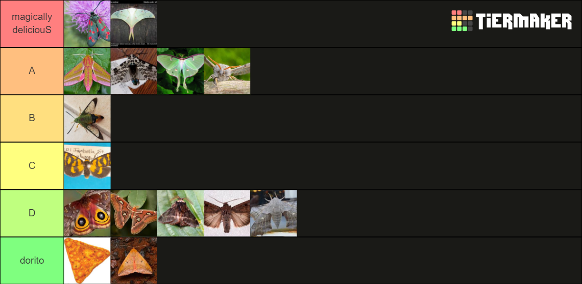 Moth Taste Tier List (Community Rankings) - TierMaker
