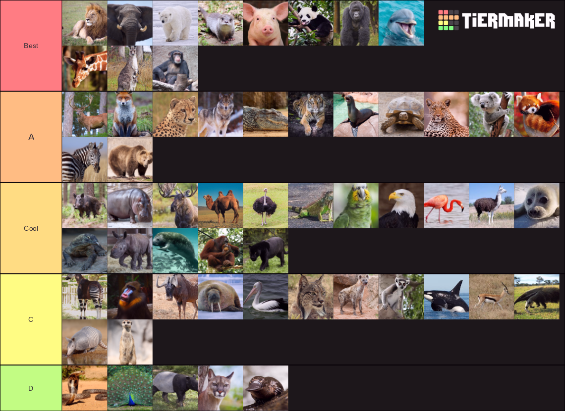 Zoo Animals Tier List (Community Rankings) - TierMaker