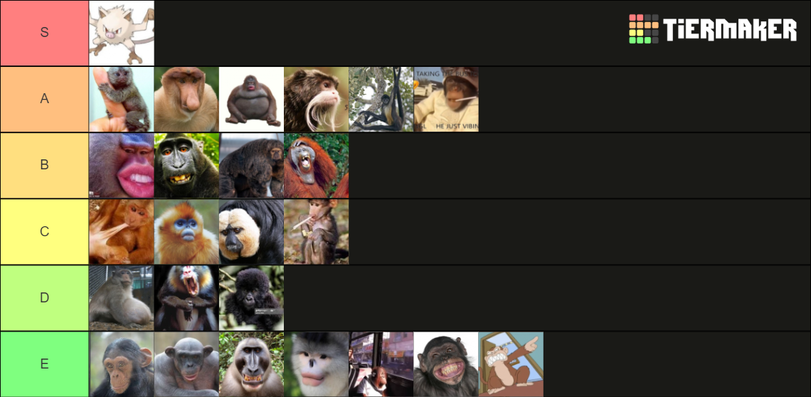 monkey Tier List (Community Rankings) - TierMaker