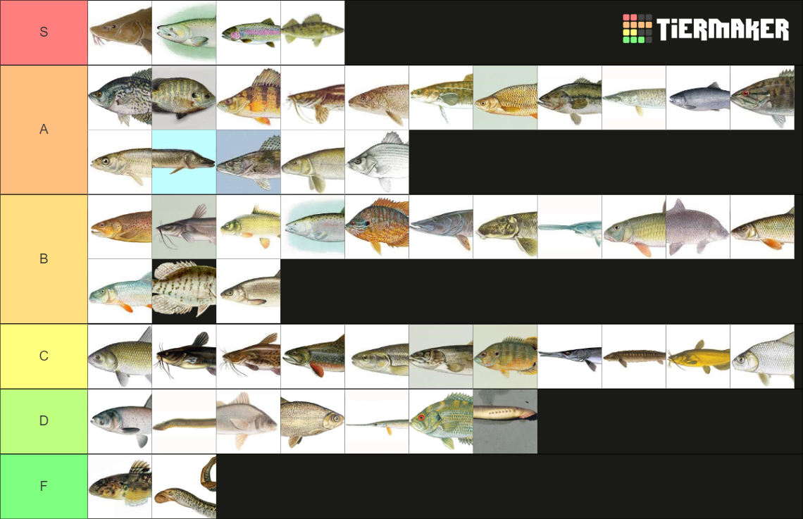MN DNR Poster fish tierlist Tier List (Community Rankings) - TierMaker