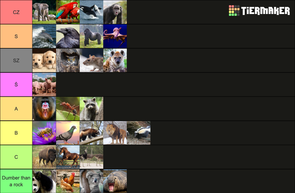 Animals by intelligence Tier List (Community Rankings) - TierMaker