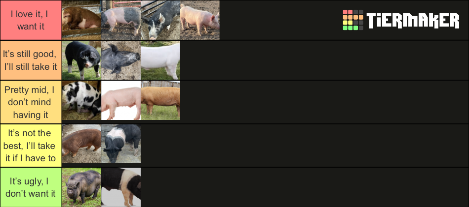 Special Pig Breeds Tier List (Community Rankings) - TierMaker