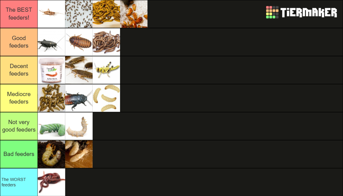 Feeder insects for Ants Tier List (Community Rankings) - TierMaker