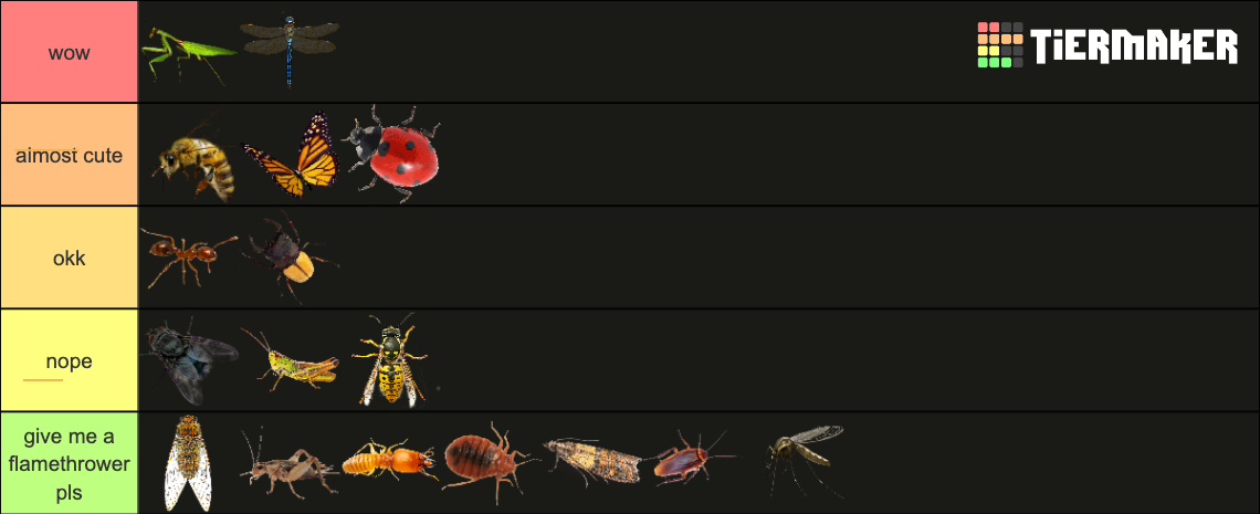 Insects Tier List (Community Rankings) - TierMaker
