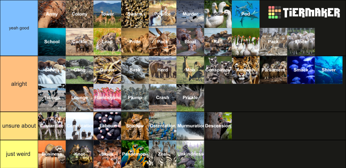 Collective Nouns of Animals Tier List (Community Rankings) - TierMaker