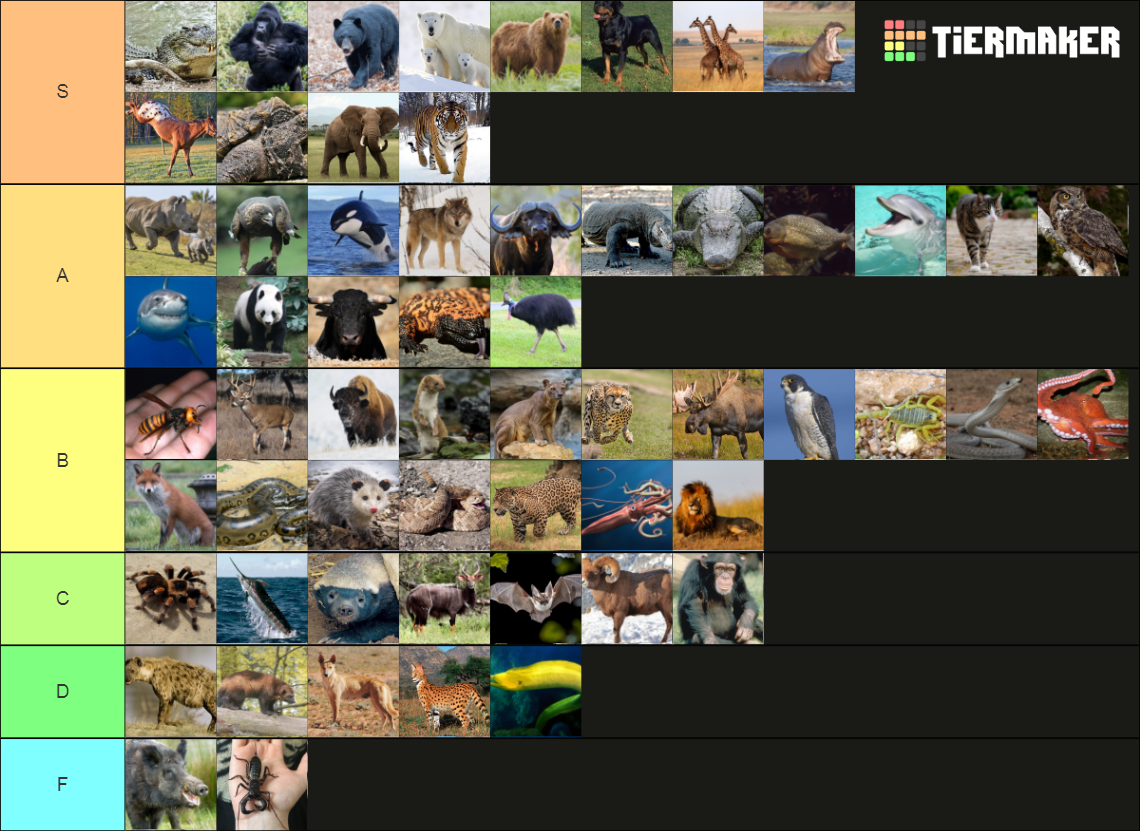 Animals Tier List (Community Rankings) - TierMaker