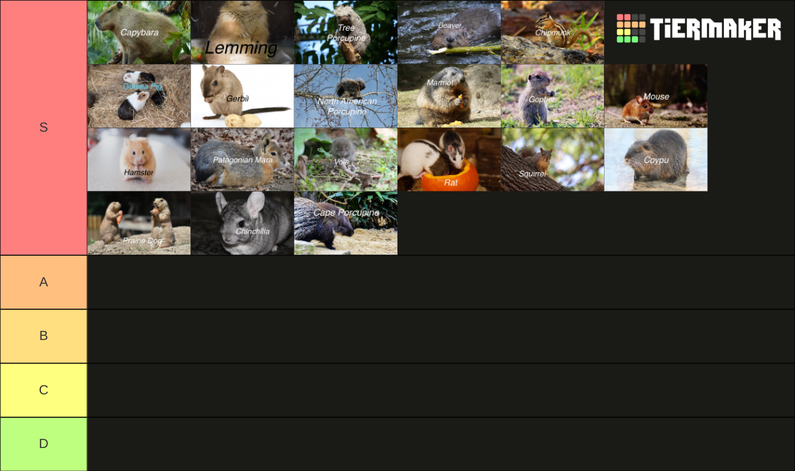 Rodent Tier List (Community Rankings) - TierMaker