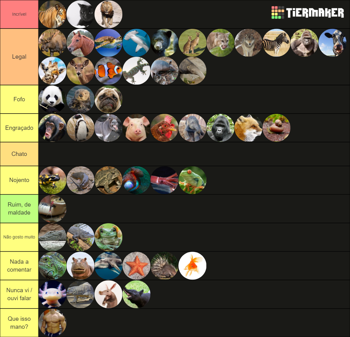 Animals Tier List (Community Rankings) - TierMaker