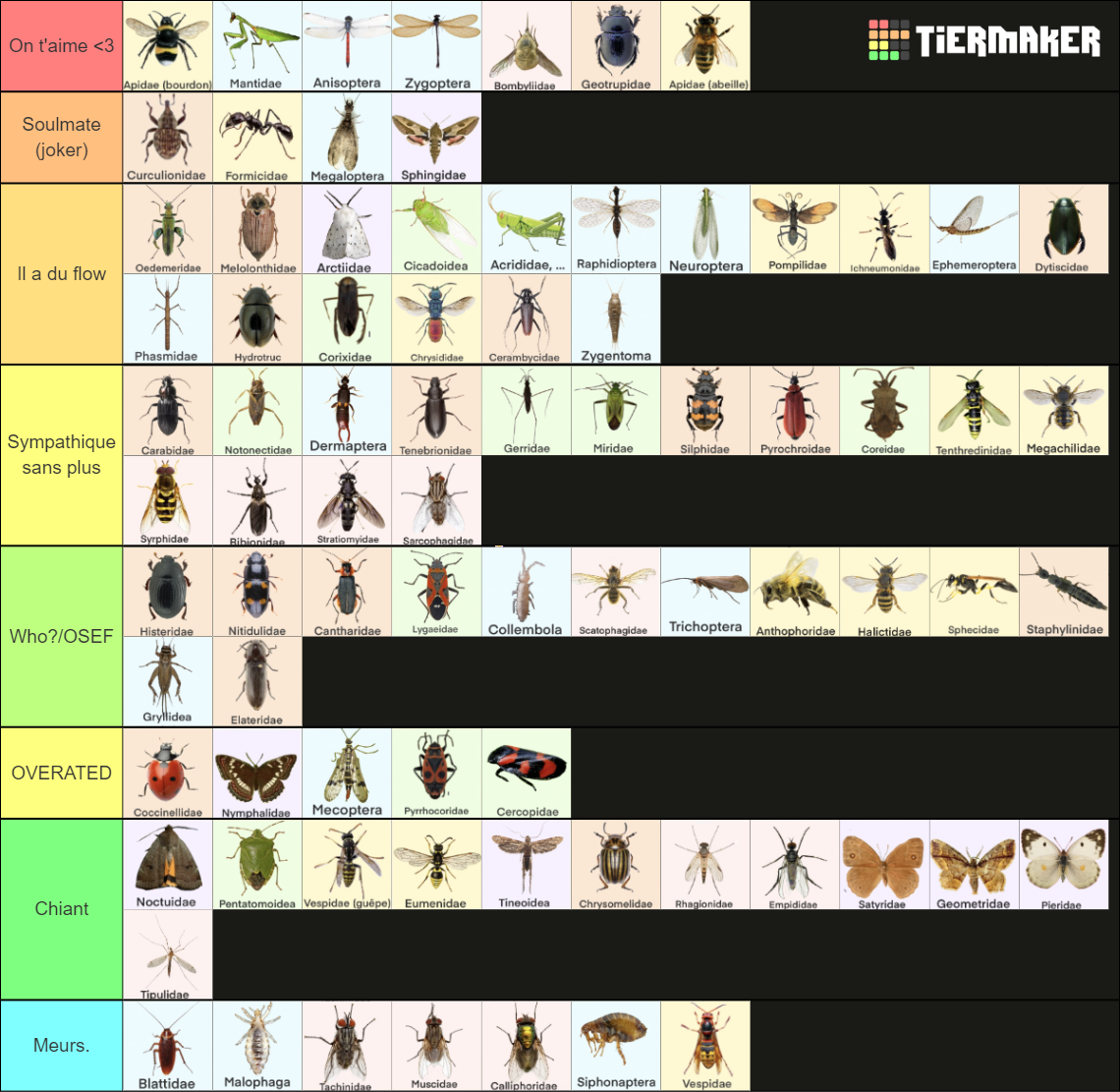 Insectes du balcon Tier List (Community Rankings) - TierMaker