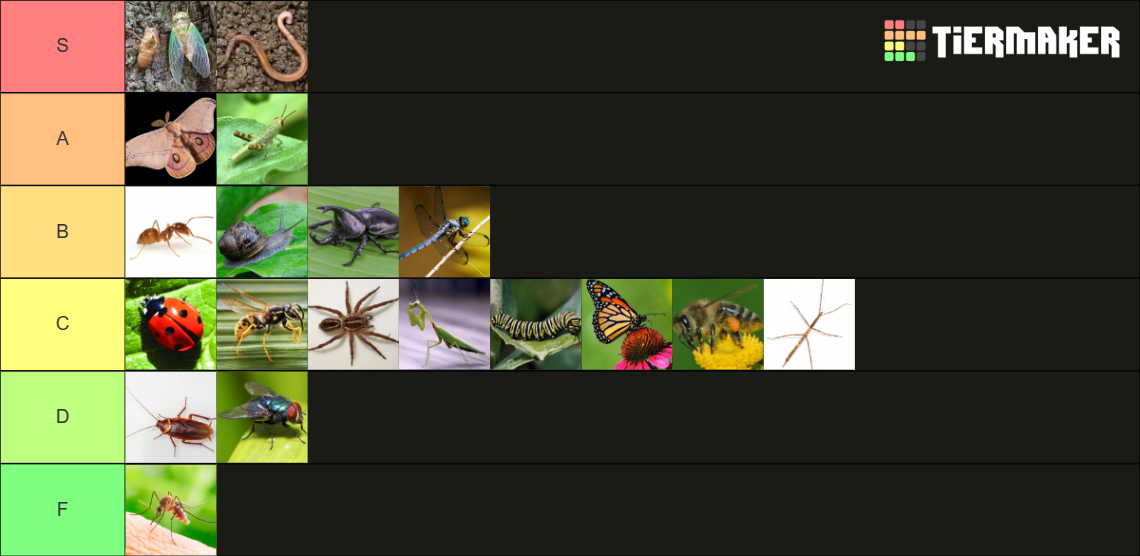 BUG Tier List (Community Rankings) - TierMaker