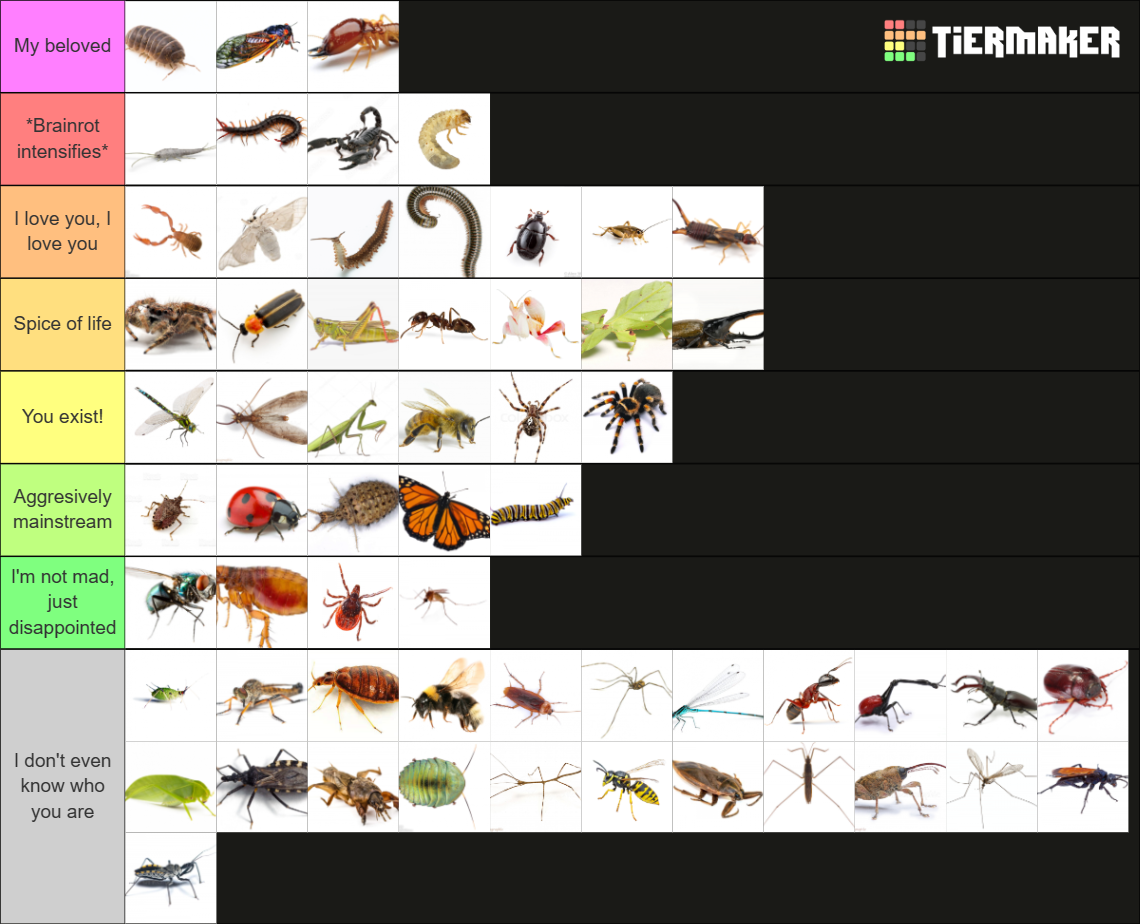 Expansive Bug Tier List (Community Rankings) - TierMaker