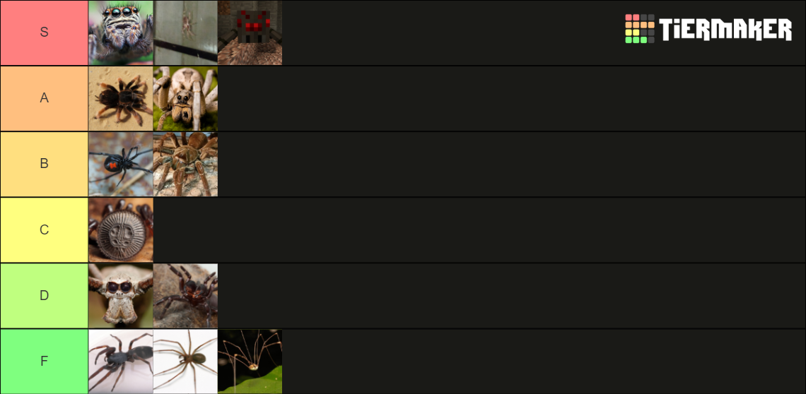 Spider Tier List (Community Rankings) - TierMaker