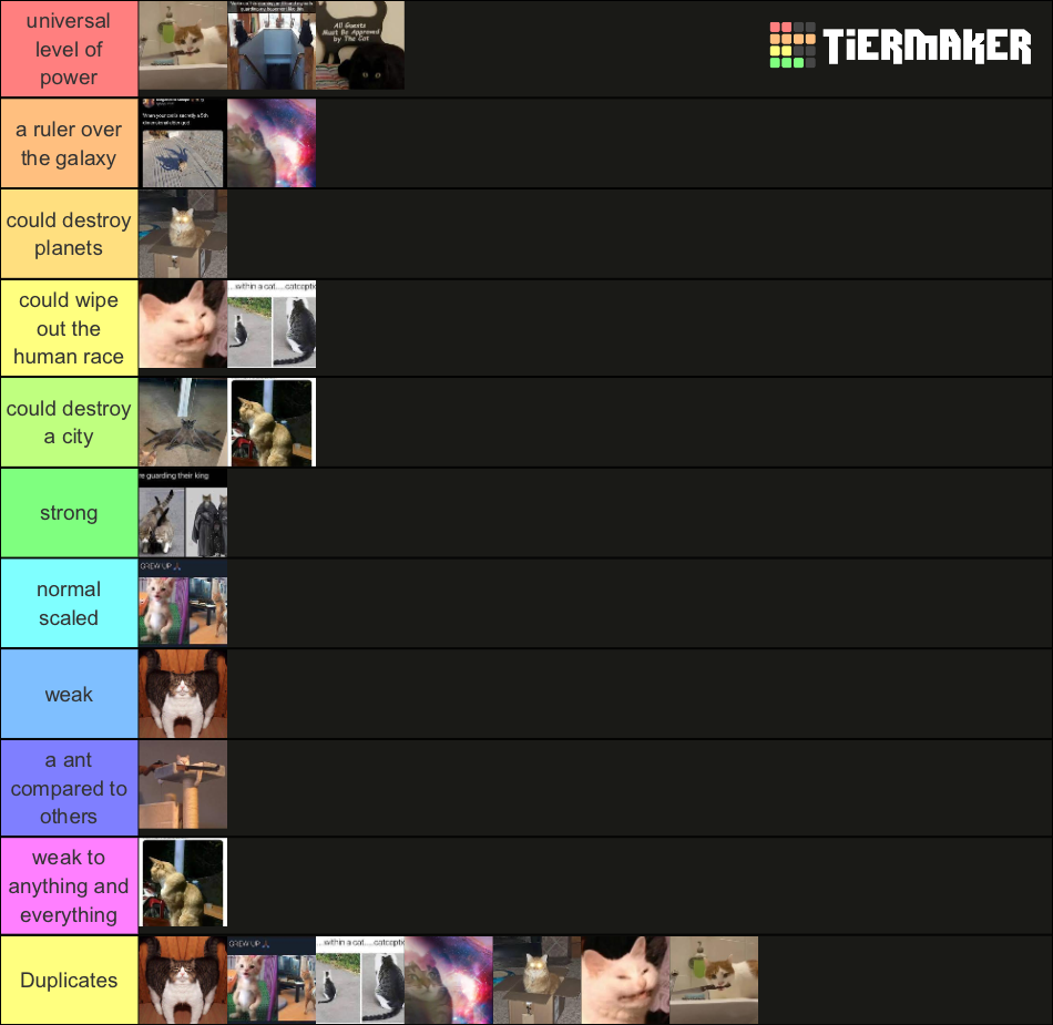 cat meme power level ranking Tier List (Community Rankings) - TierMaker