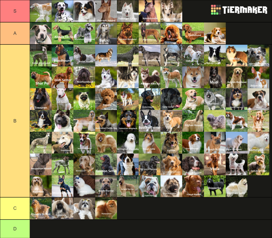 Fav dog breeds ranked :) Tier List (Community Rankings) - TierMaker