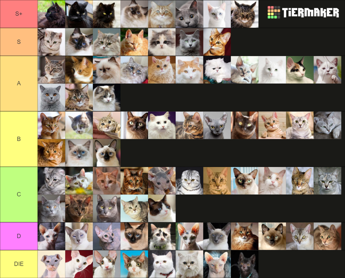78 Cat Breeds Tier List (Community Rankings) - TierMaker