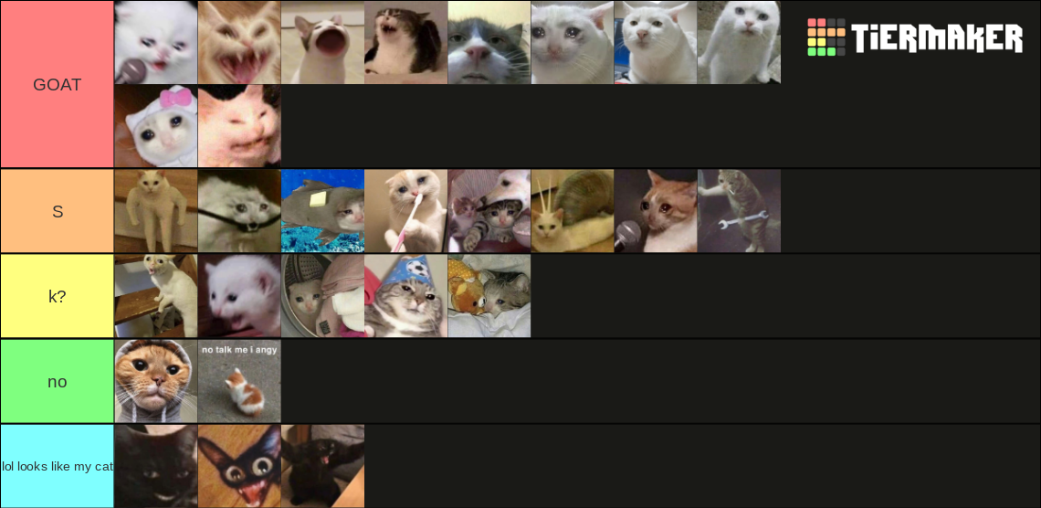 CAT MEMES Tier List (Community Rankings) - TierMaker