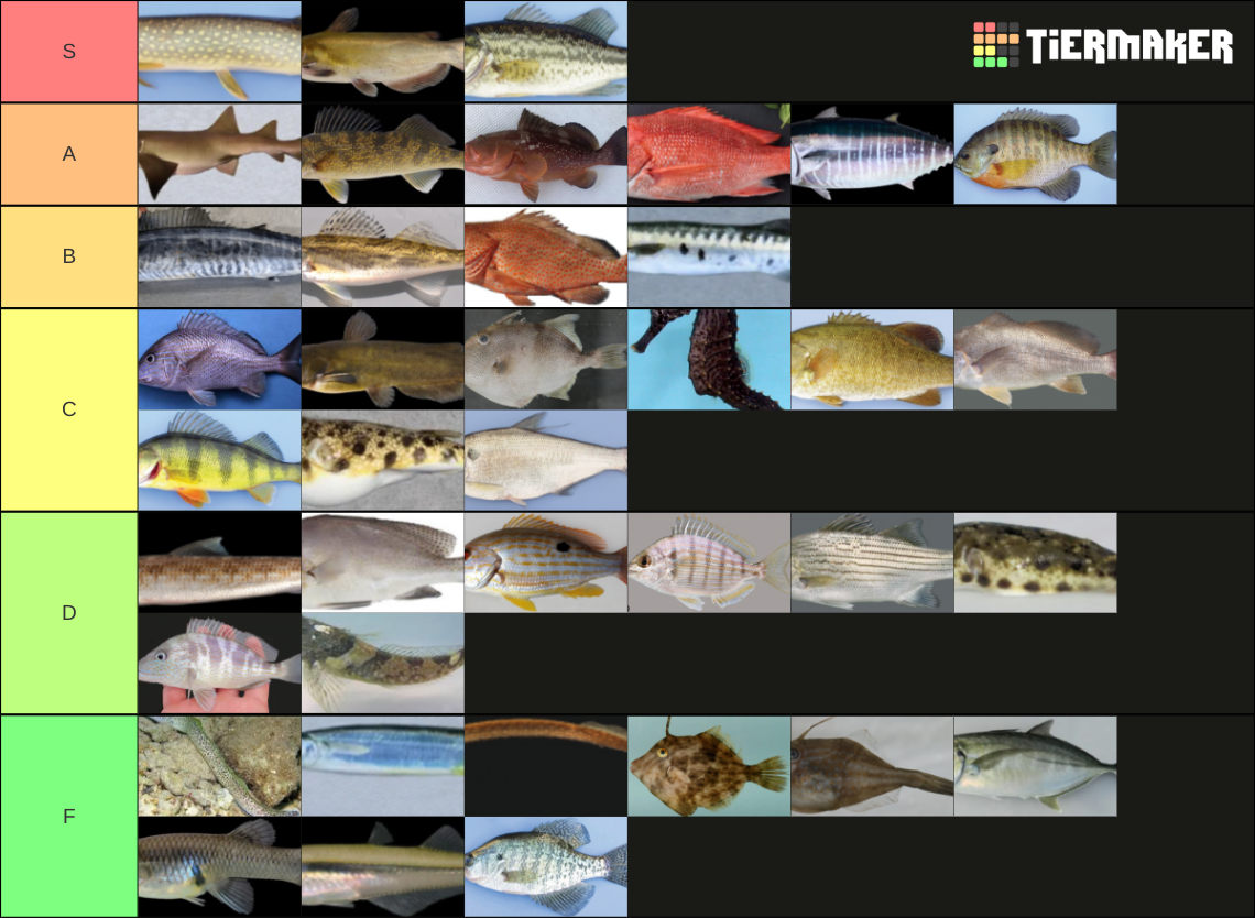 Breehl Fishing Tier List (Community Rankings) - TierMaker